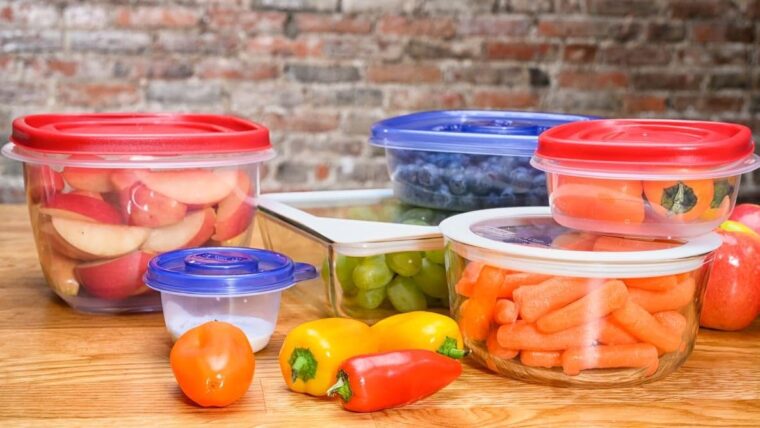 Best Food Storage Containers For Leftovers - Twin Stripe