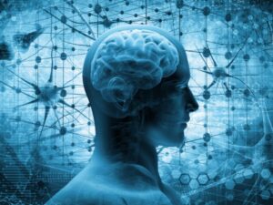 11 Advantages & Disadvantages Of Eating Rice - Twin Stripe