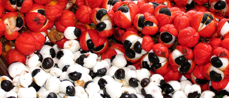 Delicious Caffeine In Guarana - Containing Foods To Try - Twin Stripe